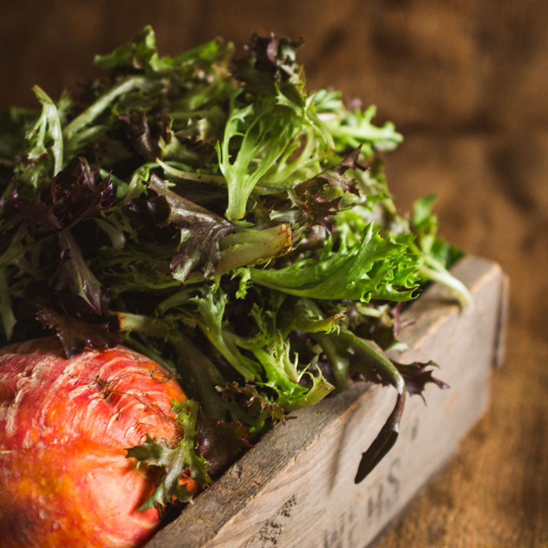 Salad Mix – The Honest Farmer